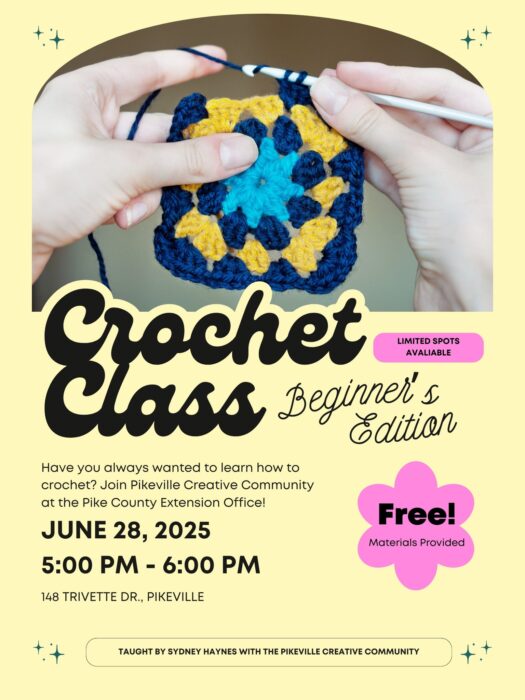 Beginners Crochet Class - Visit Pikeville